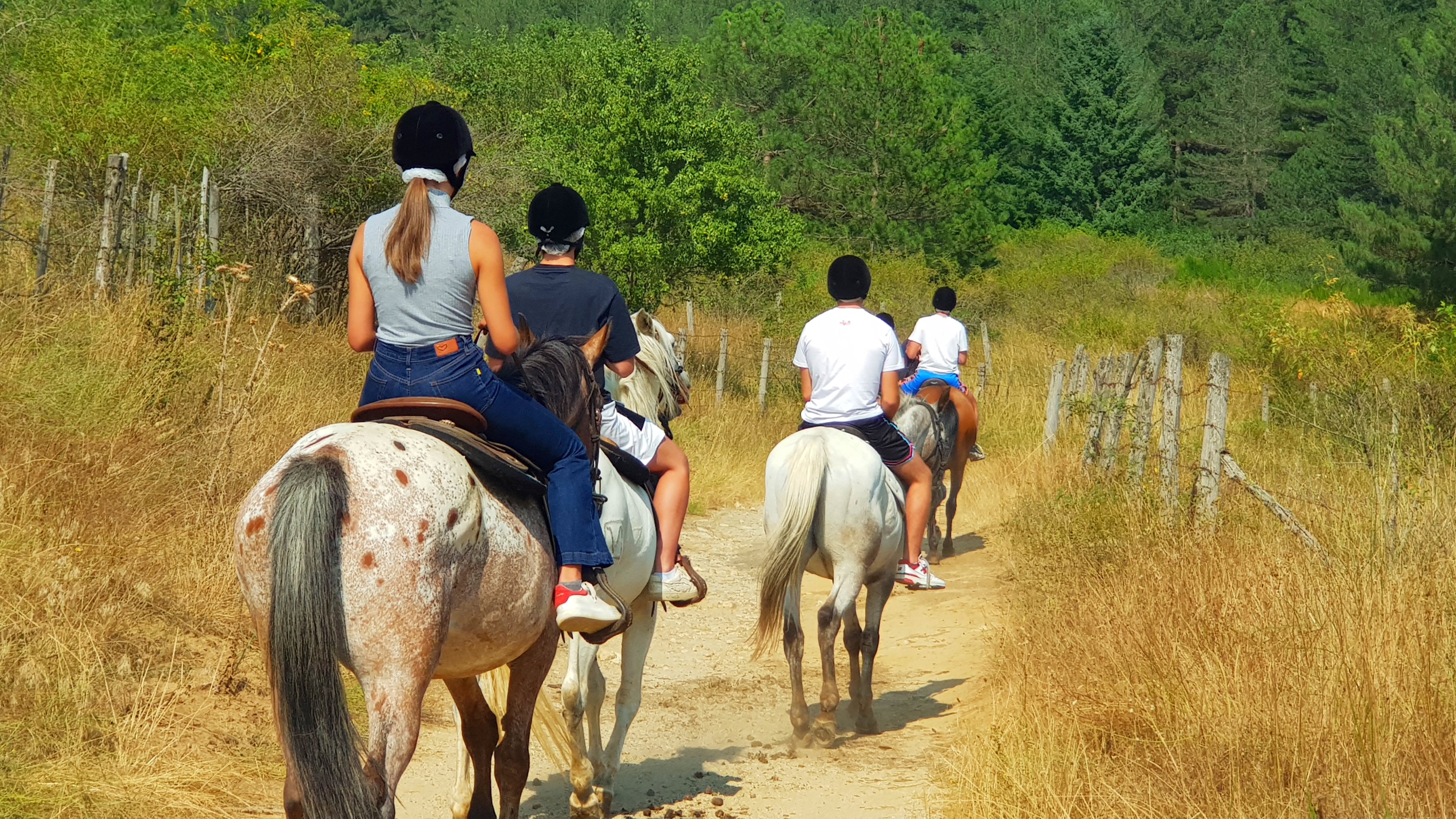 Horseback riding in Sila